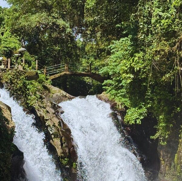 Gitgit Waterfall Tour
