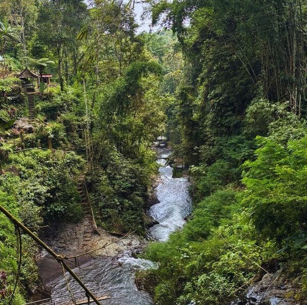 Gitgit Waterfall Tour