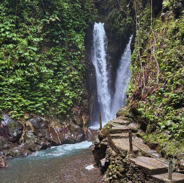 Gitgit Waterfall Tour